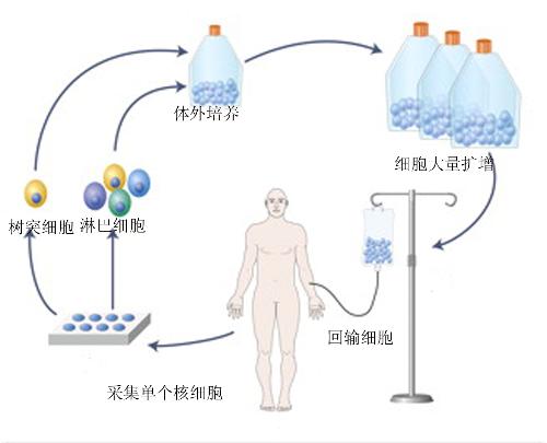 dc-cik - 搜狗百科