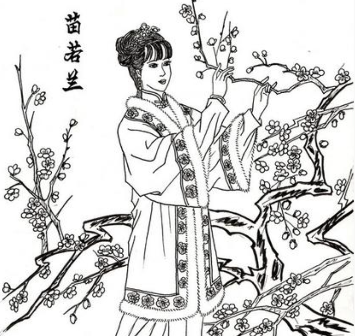 苗若兰 金庸小说雪山飞狐中的人物 搜狗百科