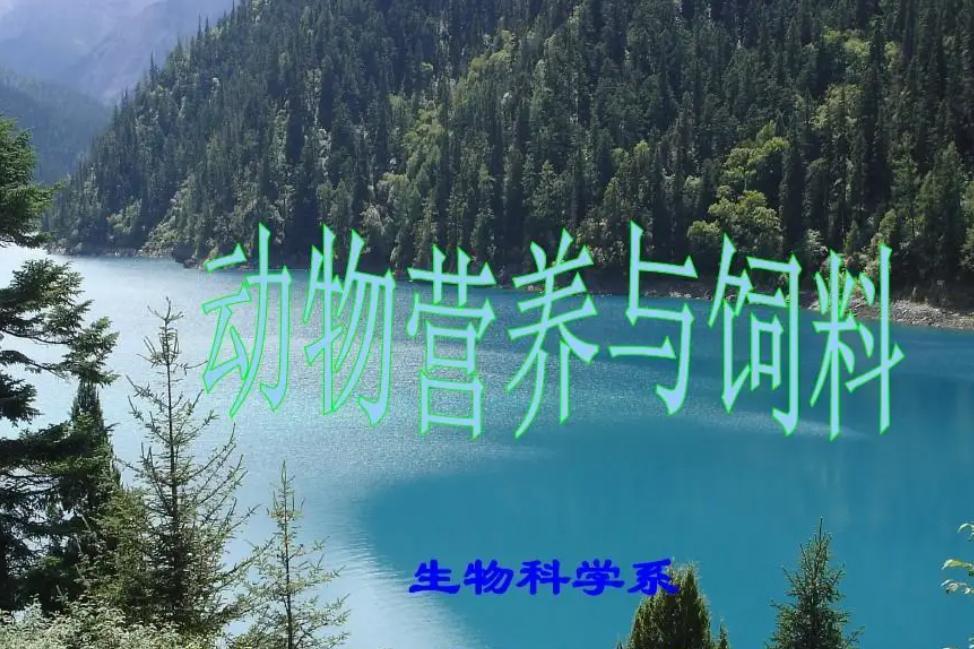 动物营养与饲料科学 搜狗百科