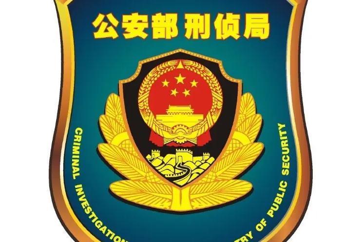 中国公安部刑事侦查局 搜狗百科