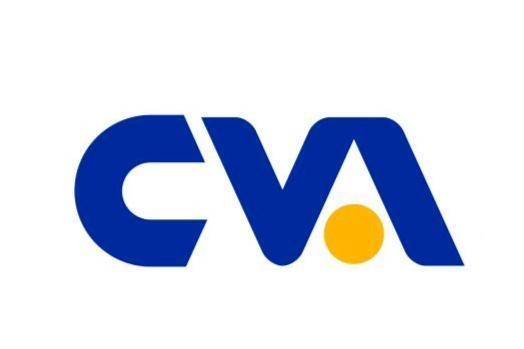cva 注册估值分析师 搜狗百科