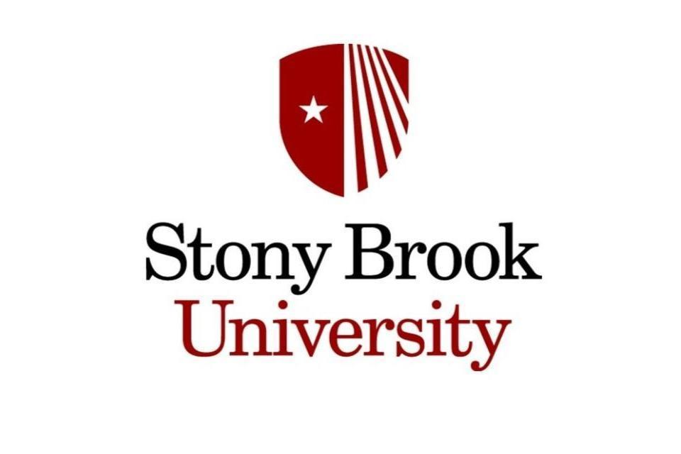 石溪大学 搜狗百科