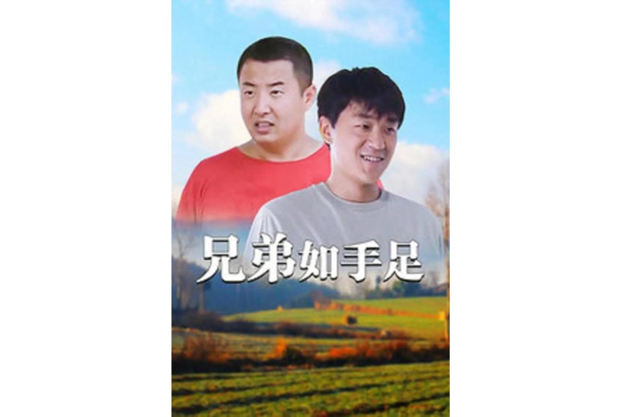 兄弟如手足 2008年郭靖宇执导的电视剧 搜狗百科