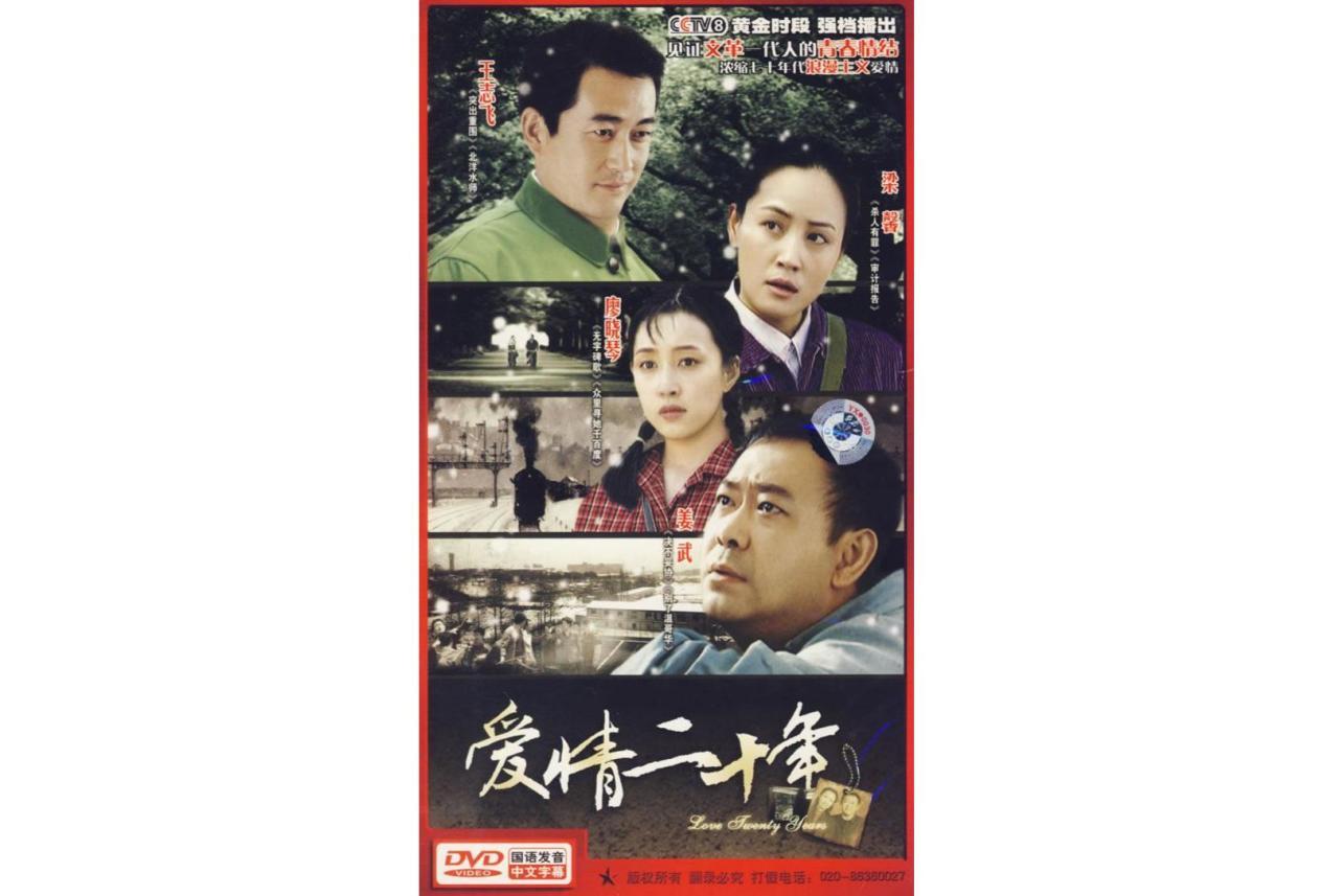 爱情20年 2007年王志飞等主演电视剧 搜狗百科