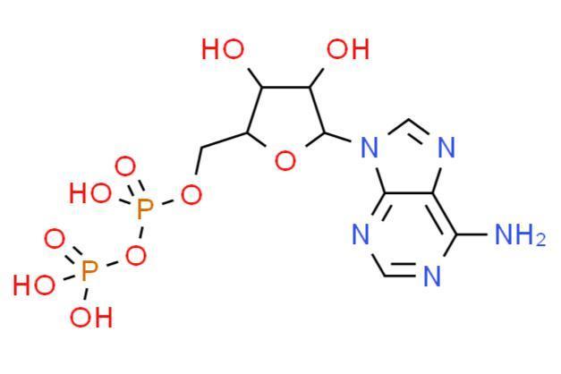 adp 腺苷二磷酸 搜狗百科
