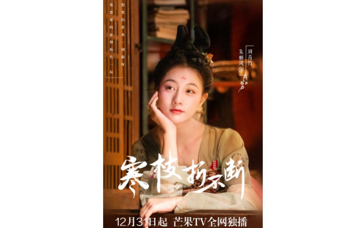 寒枝折不断 2022年朱丽岚李菲主演的电视剧 搜狗百科