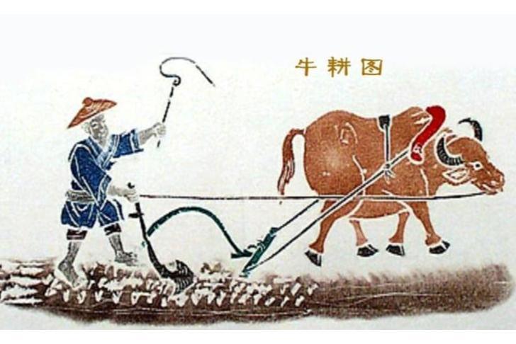 牛耕 农业生产方式 搜狗百科