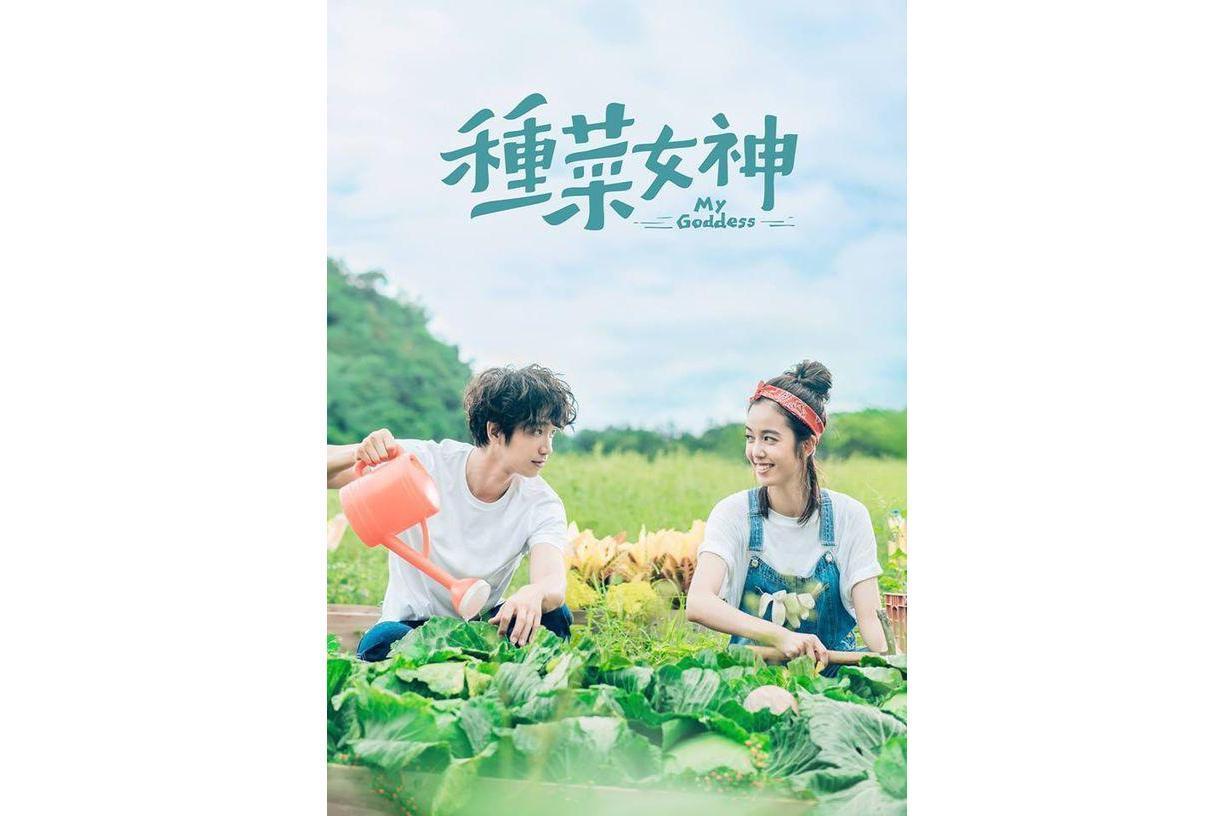 种菜女神 2018年陈庭妮等主演电视剧 搜狗百科