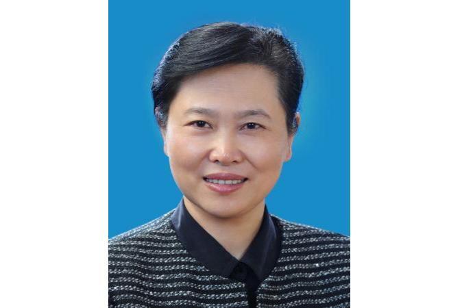 王艳玲 湖北省人大常委会党组书记 副主任 搜狗百科