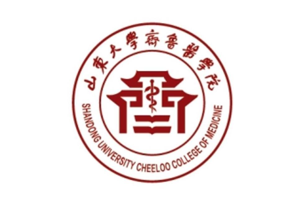 山东大学齐鲁医学院 山东大学下设二级学院 搜狗百科