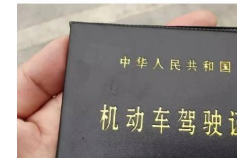 D驾驶证 驾驶证的一种 搜狗百科