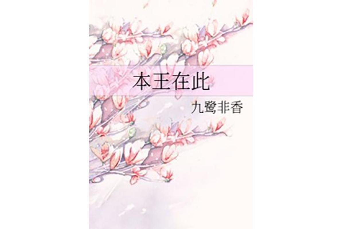 本王在此 晋江小说 搜狗百科