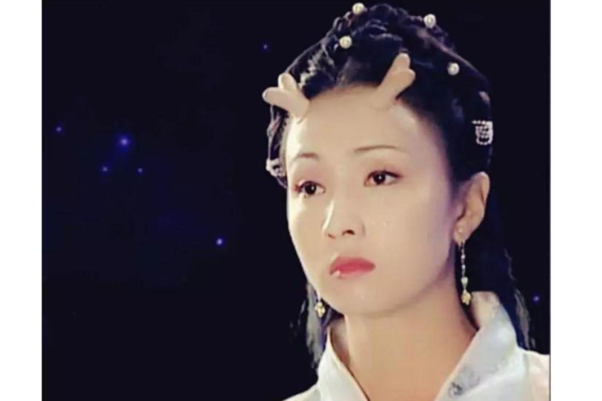 小龙女 电视剧春光灿烂猪八戒欢乐元帅人物 搜狗百科