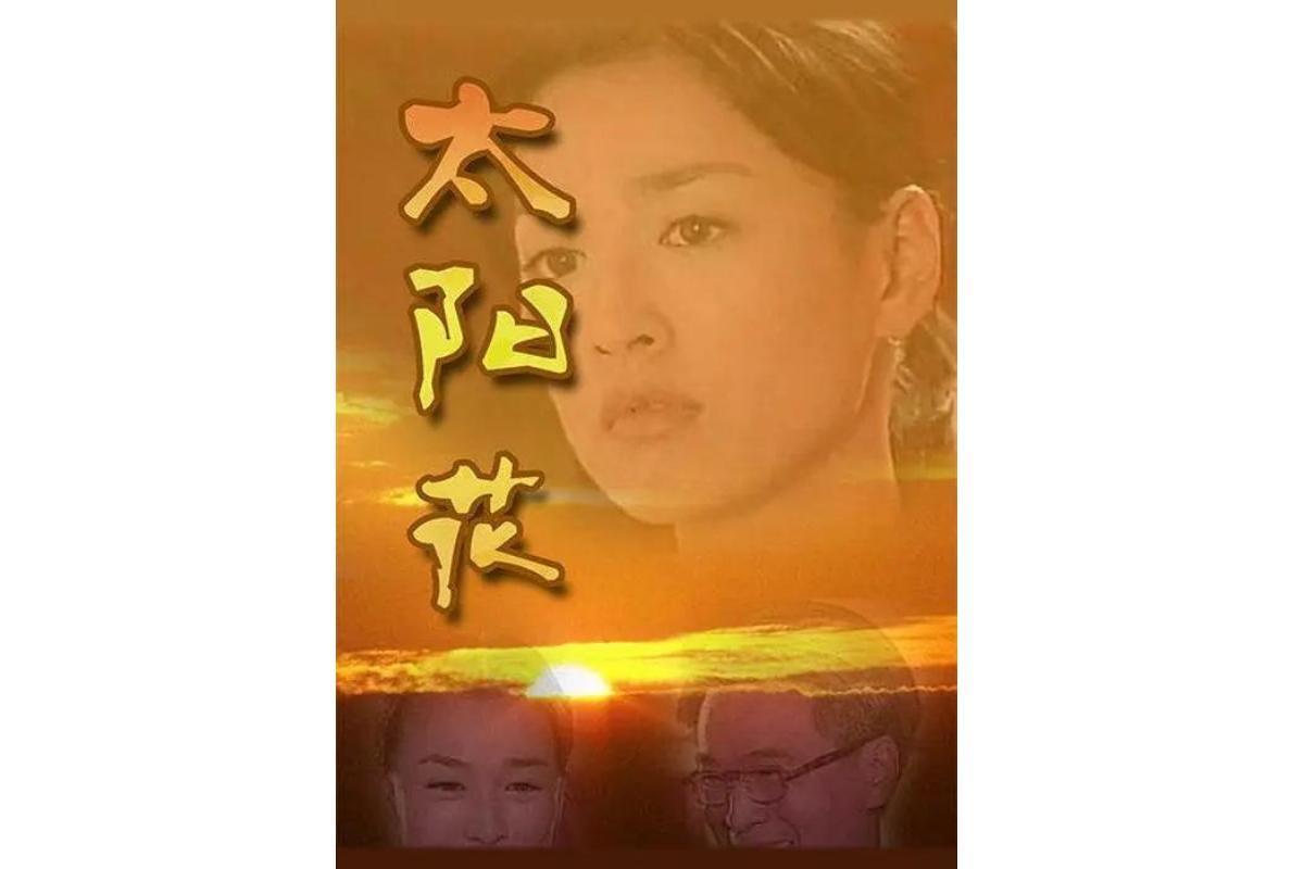 太阳花 1998年张庭主演台湾中视电视剧 搜狗百科
