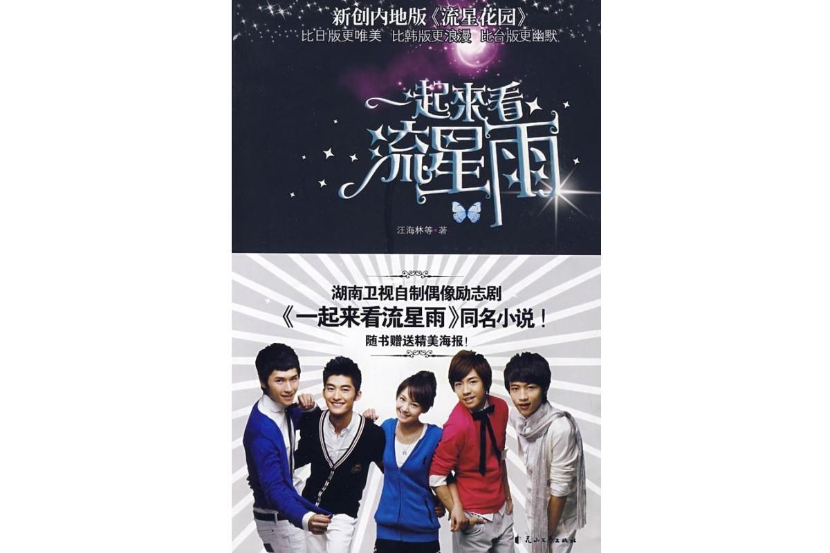 一起来看流星雨 2009年出版同名小说 搜狗百科