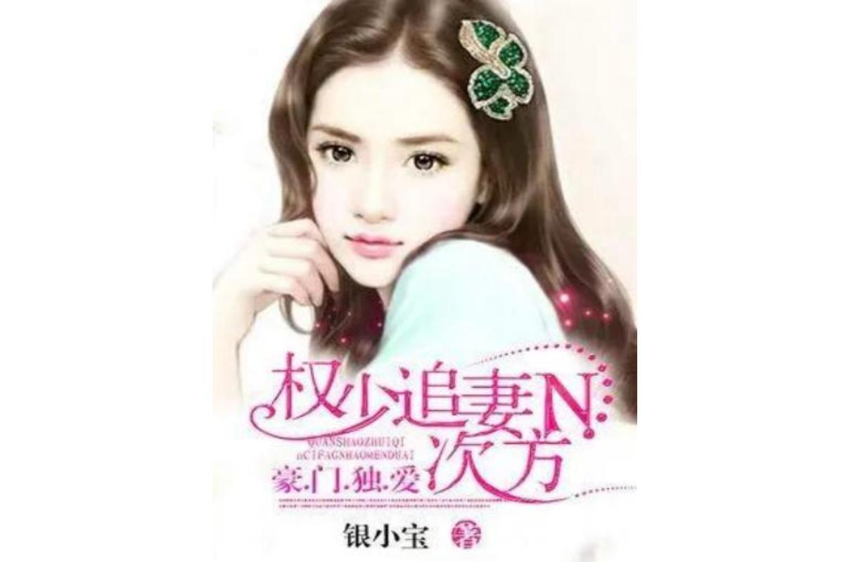 权少追妻n次方豪门独爱 银小宝著言情书籍 搜狗百科