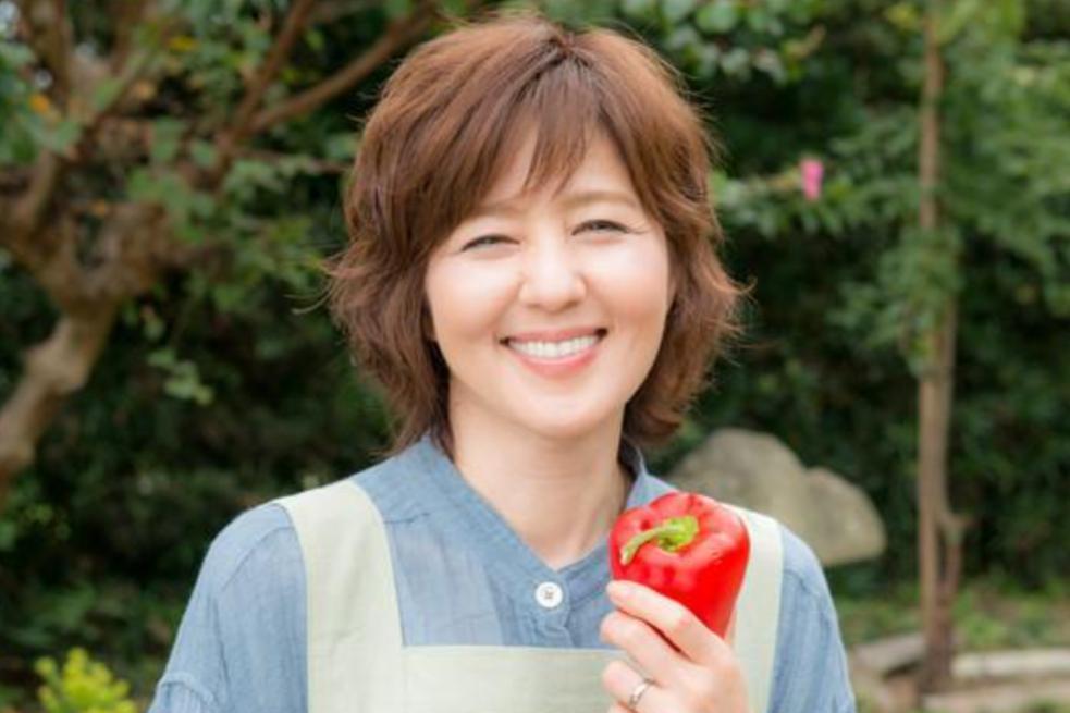 石野真子 日本女歌手演员 搜狗百科