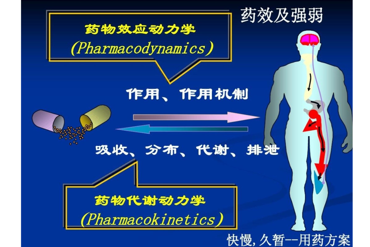 药物效应动力学 搜狗百科