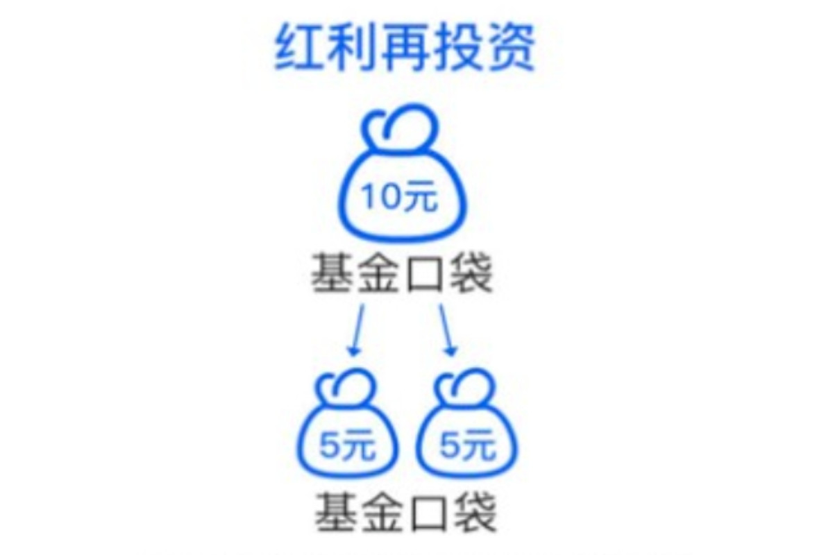 红利再投资 搜狗百科