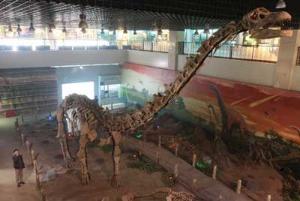 华北龙 - 搜狗百科