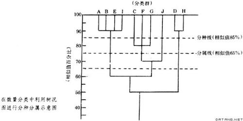 数量分类学 搜狗百科