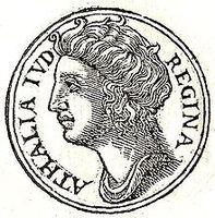 亚她利雅 - 搜狗百科