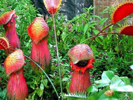 食人花（科学） - 搜狗百科