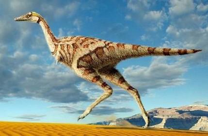 恐龙（蜥形纲动物） - 搜狗百科