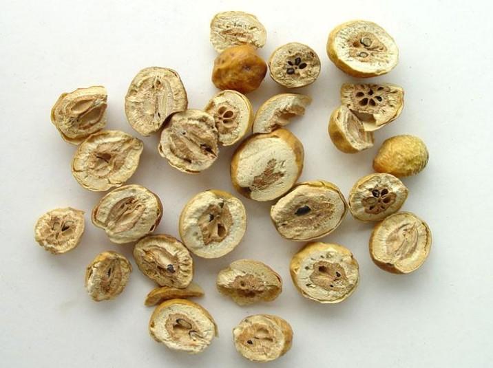 川楝子 - 搜狗百科