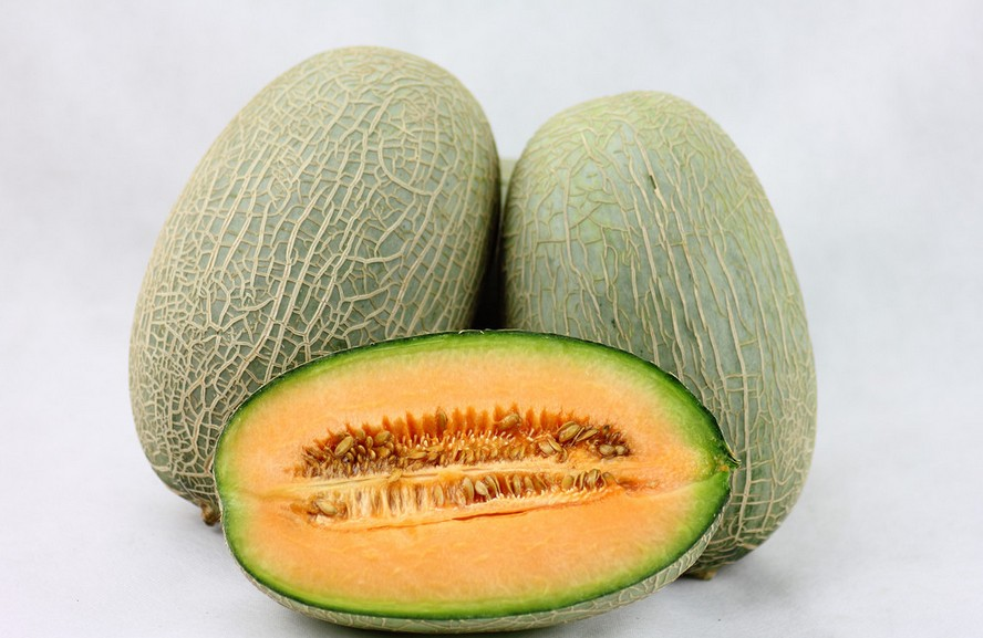 哈密瓜（水果） - 搜狗百科
