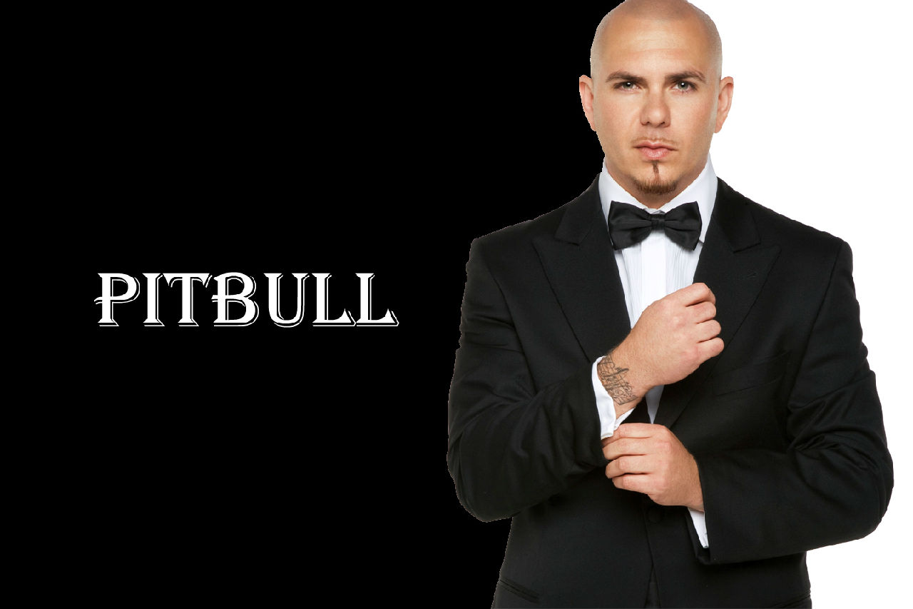 back in time（古巴裔美国歌手Pitbull的单曲） - 搜狗百科