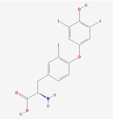 反三碘甲状腺原氨酸(rT3) - 搜狗百科
