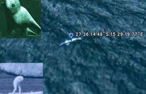 Ningen - 搜狗百科