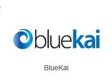 BlueKai - 搜狗百科