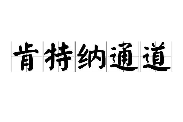 肯特纳通道_搜狗百科