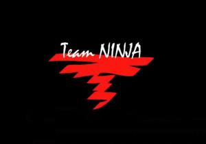 Team NINJA - 搜狗百科