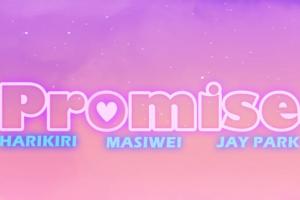 Promise - 搜狗百科