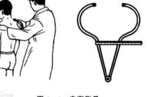 肩宽 - 搜狗百科