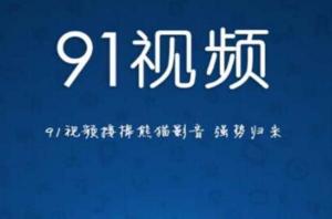 91视频 - 搜狗百科