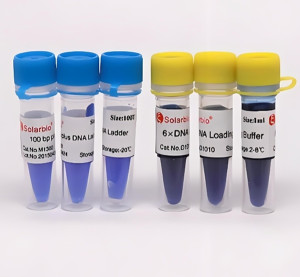 loading buffer - 搜狗百科