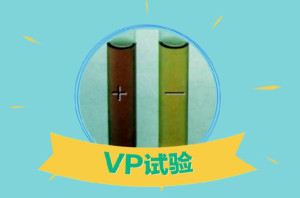 VP试验 - 搜狗百科