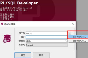 PL/SQL Developer - 搜狗百科