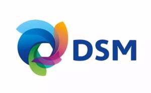 帝斯曼 - 搜狗百科