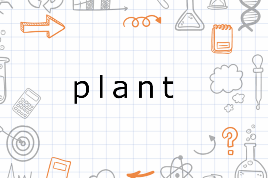 plant - 搜狗百科