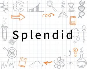 Splendid - 搜狗百科