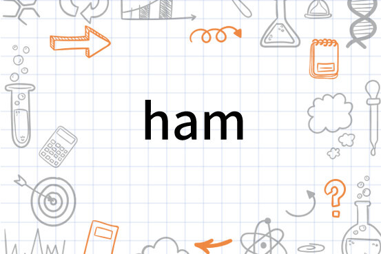 ham(英语单词)_搜狗百科