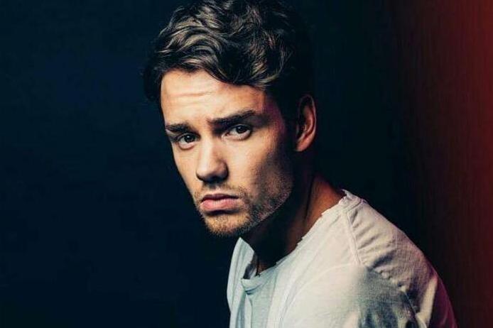 Liam Payne(英国男歌手)_搜狗百科