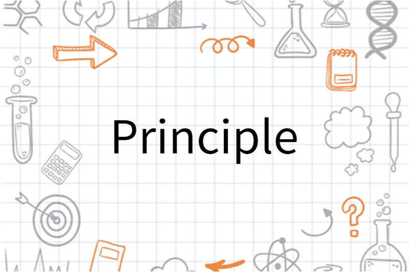 Principle(英文单词)_搜狗百科