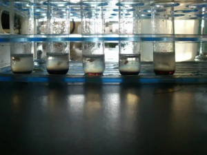 Molish反应 - 搜狗百科