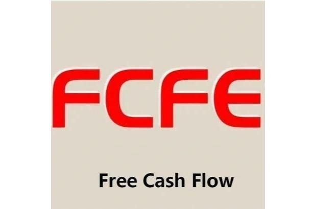 FCFE模型_搜狗百科